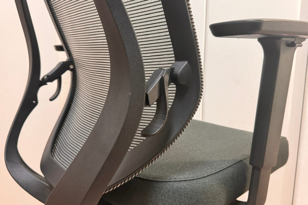 FlexiSpotオフィスチェアC2レビュー：お尻が痛くならない、腰も楽な快適チェア | mitsu-blog