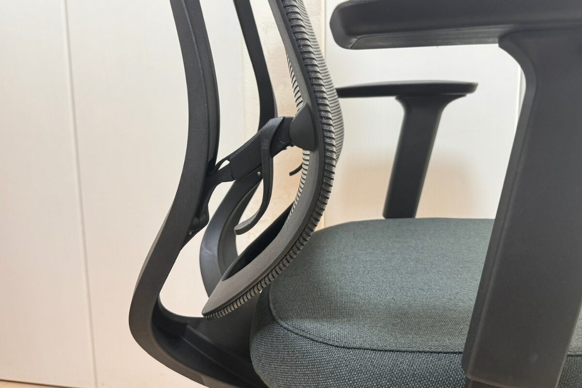 FlexiSpotオフィスチェアC2レビュー：お尻が痛くならない、腰も楽な快適チェア | mitsu-blog